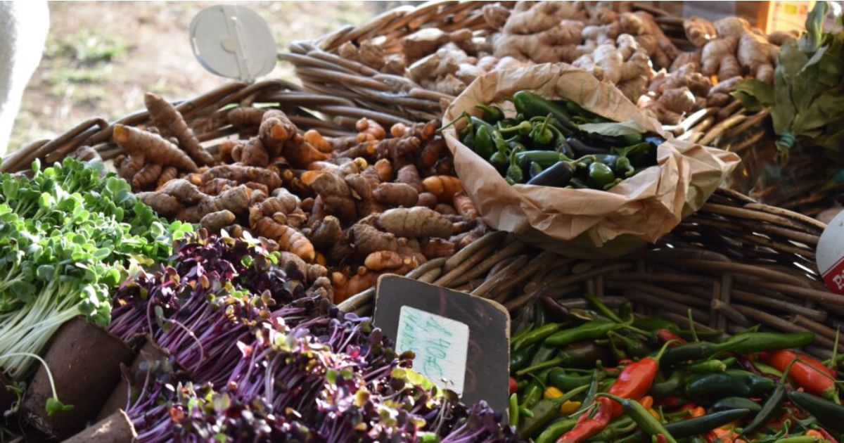 The Best Marbella Markets for Unique Finds & Local Goods