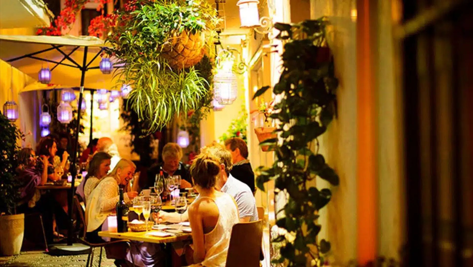 Best Tapas Marbella Has to Offer Today